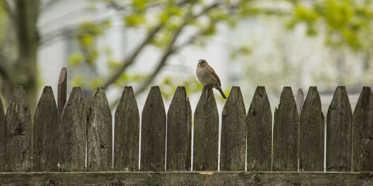 Encroachments on Adjoining Property - BC Homes for sale - Real Estate 101